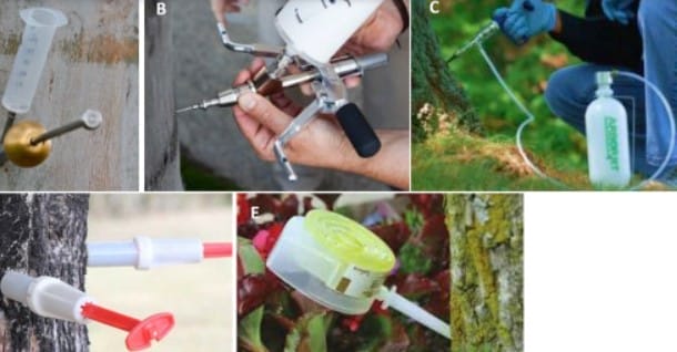 "Discover the Power of Trunk Injections: How They Can Revolutionize and ...